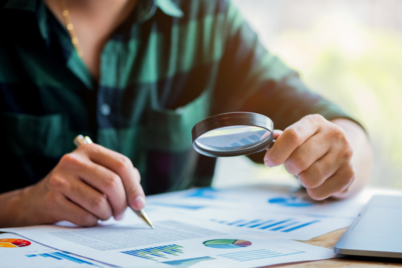 SEC Audit Misconduct: Importance of Professionalism and Skepticism